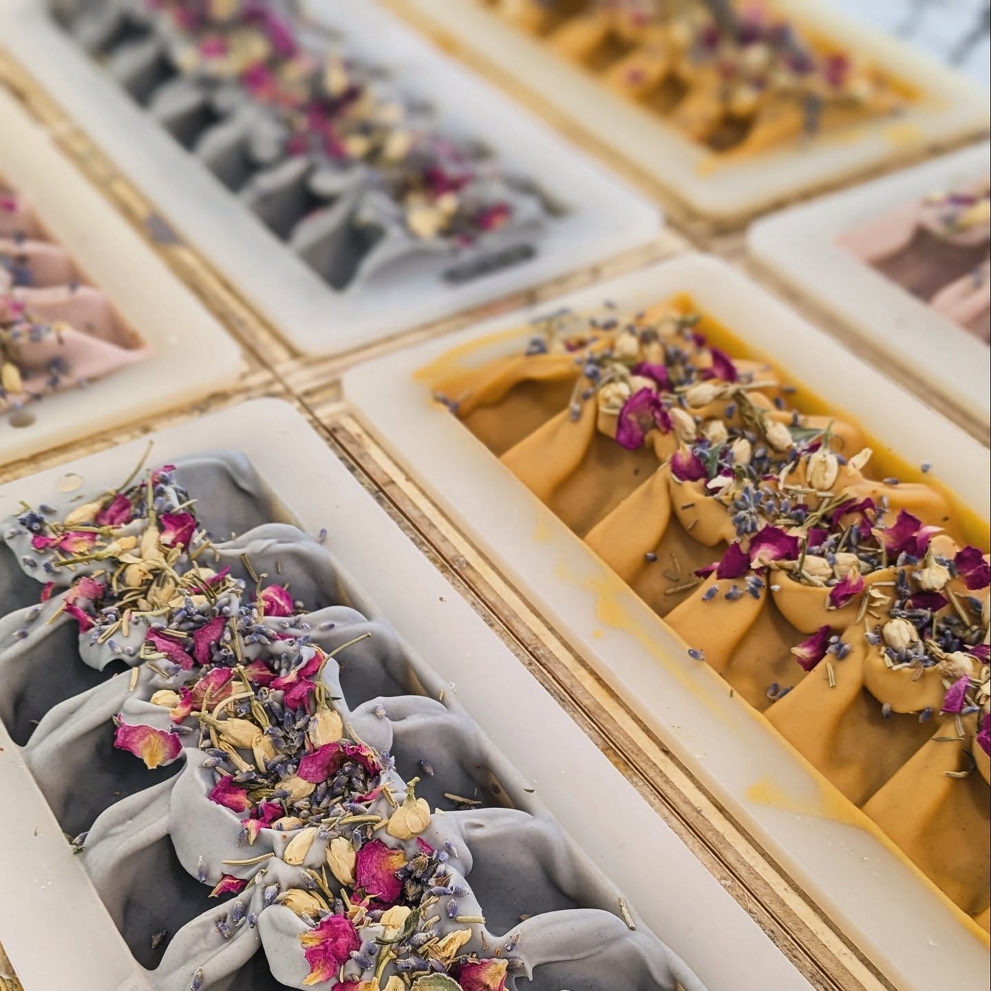 Subscriptions – Botany Barn Canada