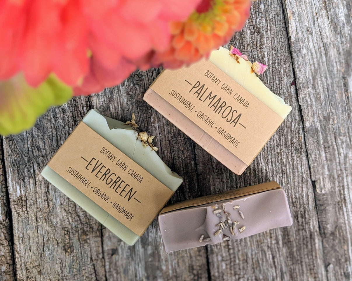 Natural Soaps | Gift Set of Six Organic Artisan Soaps – Botany Barn Canada