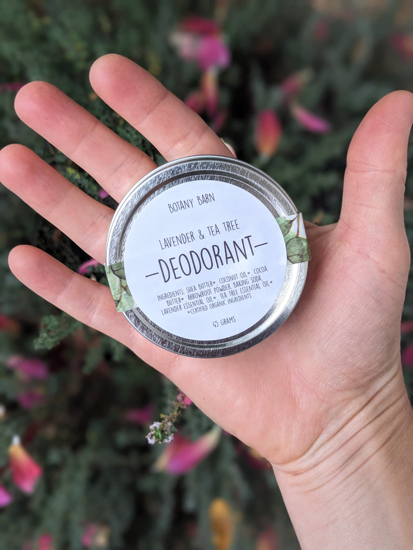 Natural Deodorant | Crafted with Clean Ingredients for Healthy Pits ...