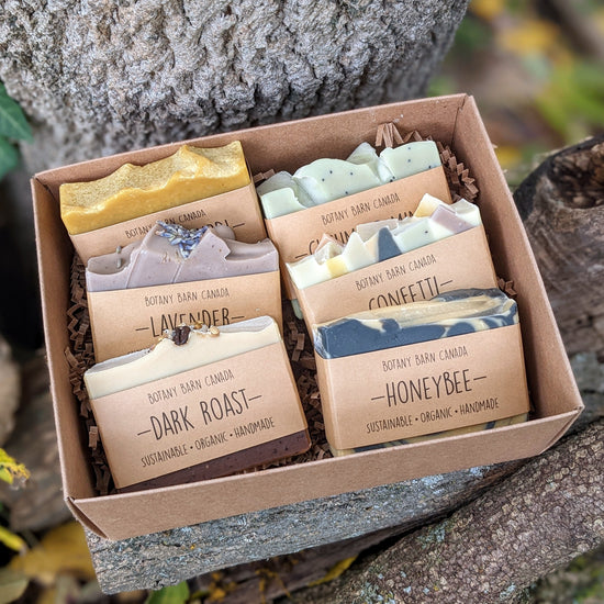 Natural Soaps | Gift Set of Six Organic Artisan Soaps – Botany Barn Canada