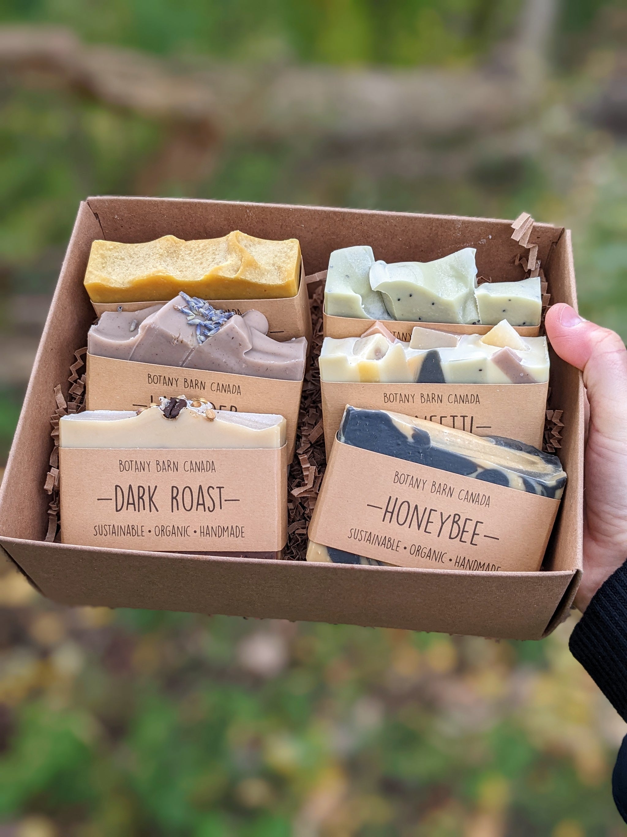Natural Soaps | Gift Set of Six Organic Artisan Soaps – Botany Barn Canada