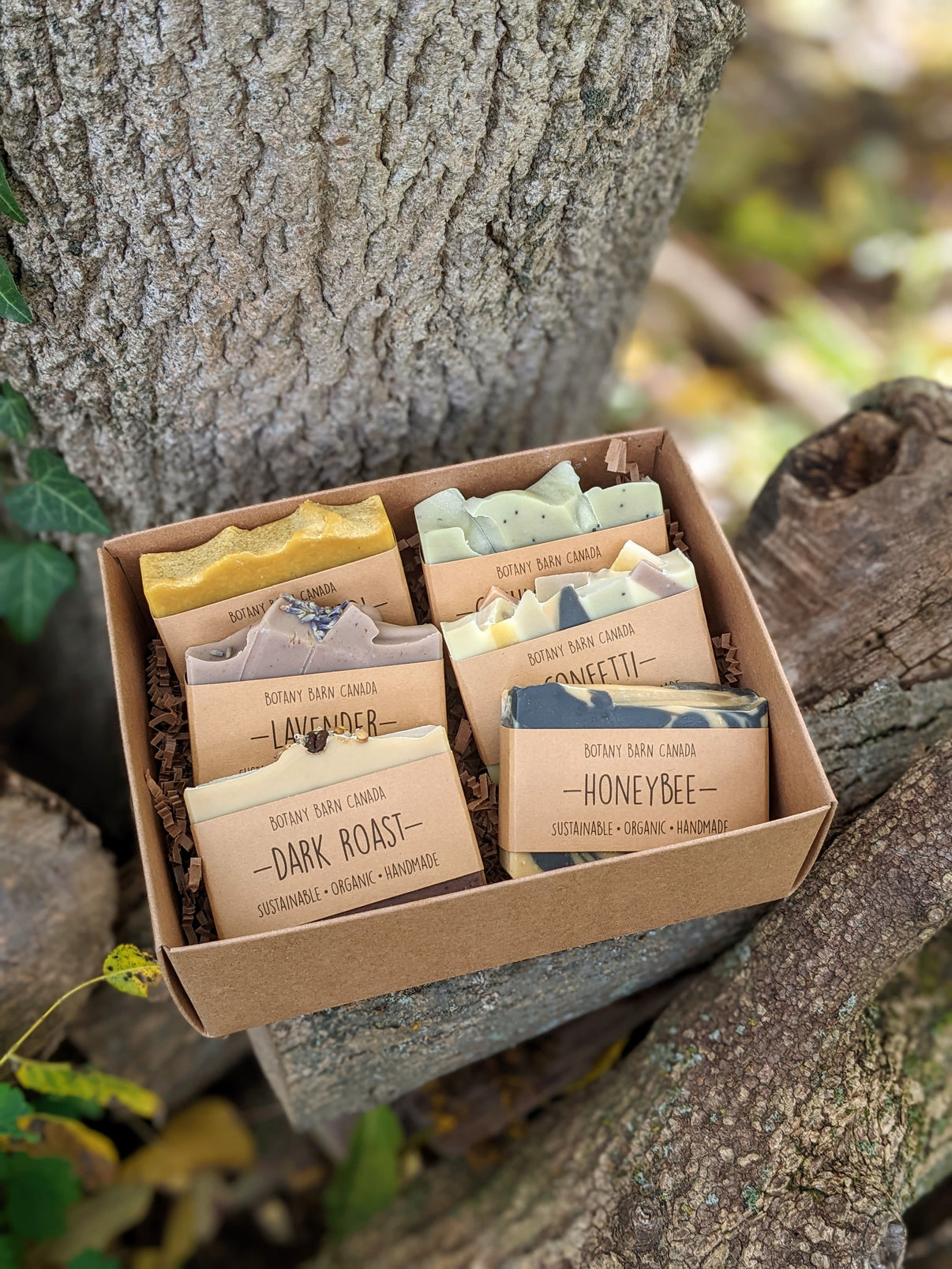 Natural Soaps | Gift Set of Six Organic Artisan Soaps – Botany Barn Canada